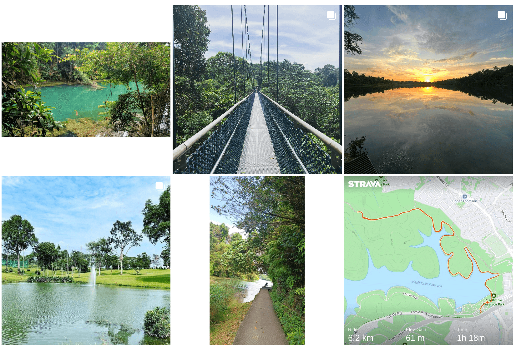 MacRitchie Reservoir Park - Singapore Insiders
